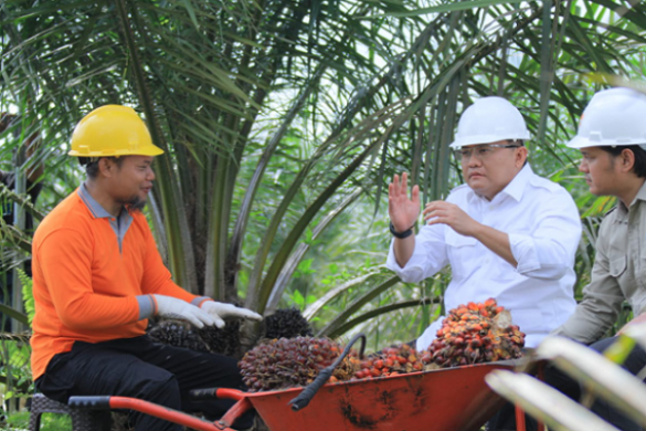 Gebrakan 2025, Toco Keluarkan Sertifikat Bebas Biaya Admin dan Gratis ...